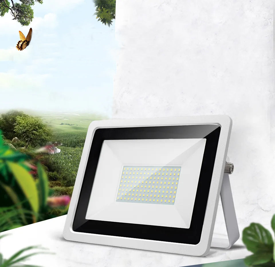 PROJECTEUR LED - Série PADFV Distribution